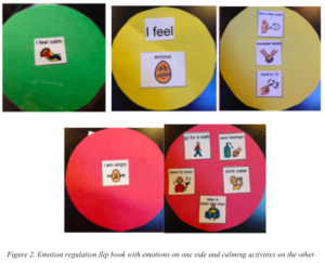 Simple evidence-based strategies for teaching emotion regulation?
